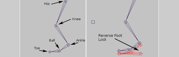Lucien2013@ANU — 72 Magnificent Maya Tutorials!